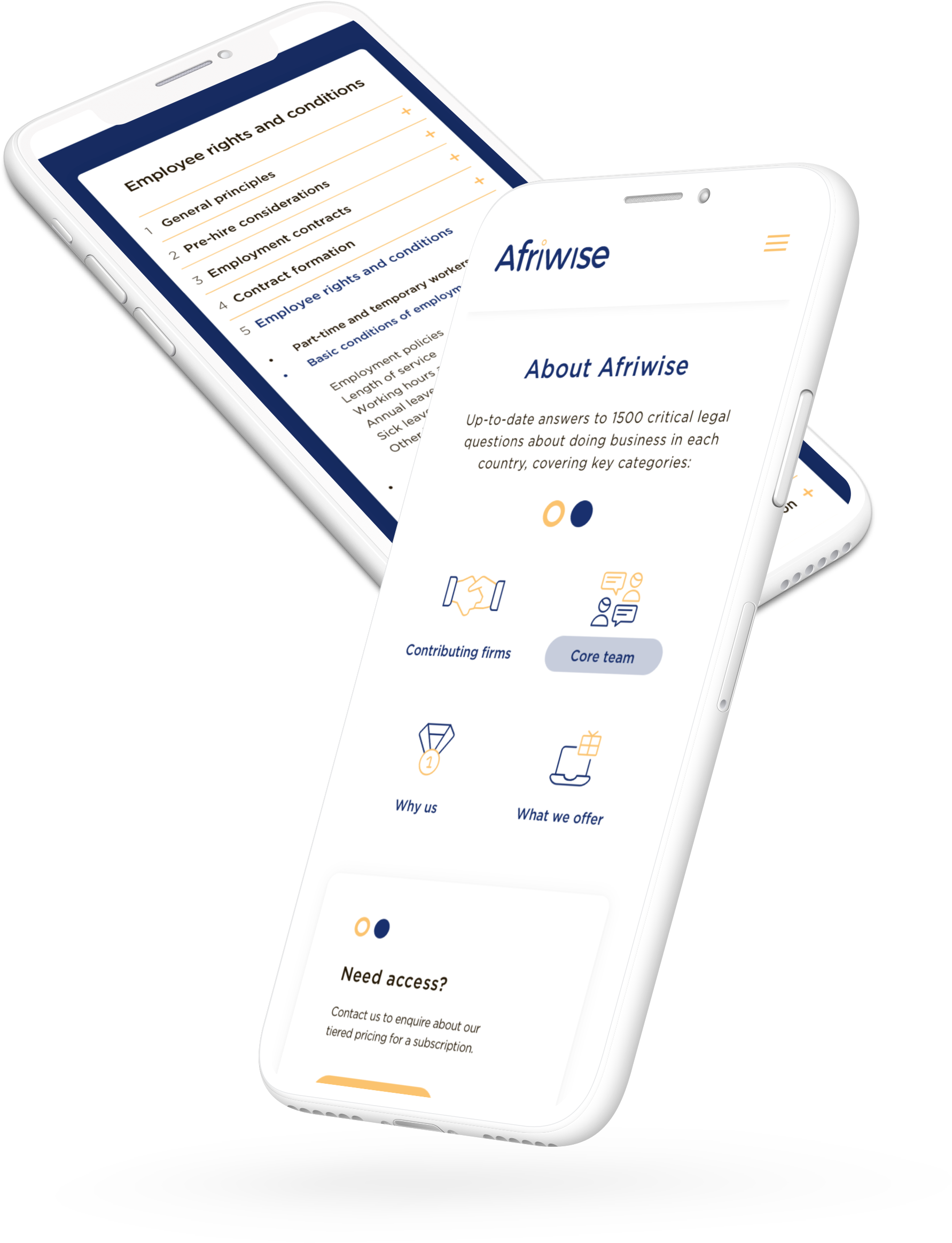 Afriwise - Intuitive web platform, case study - Monterail